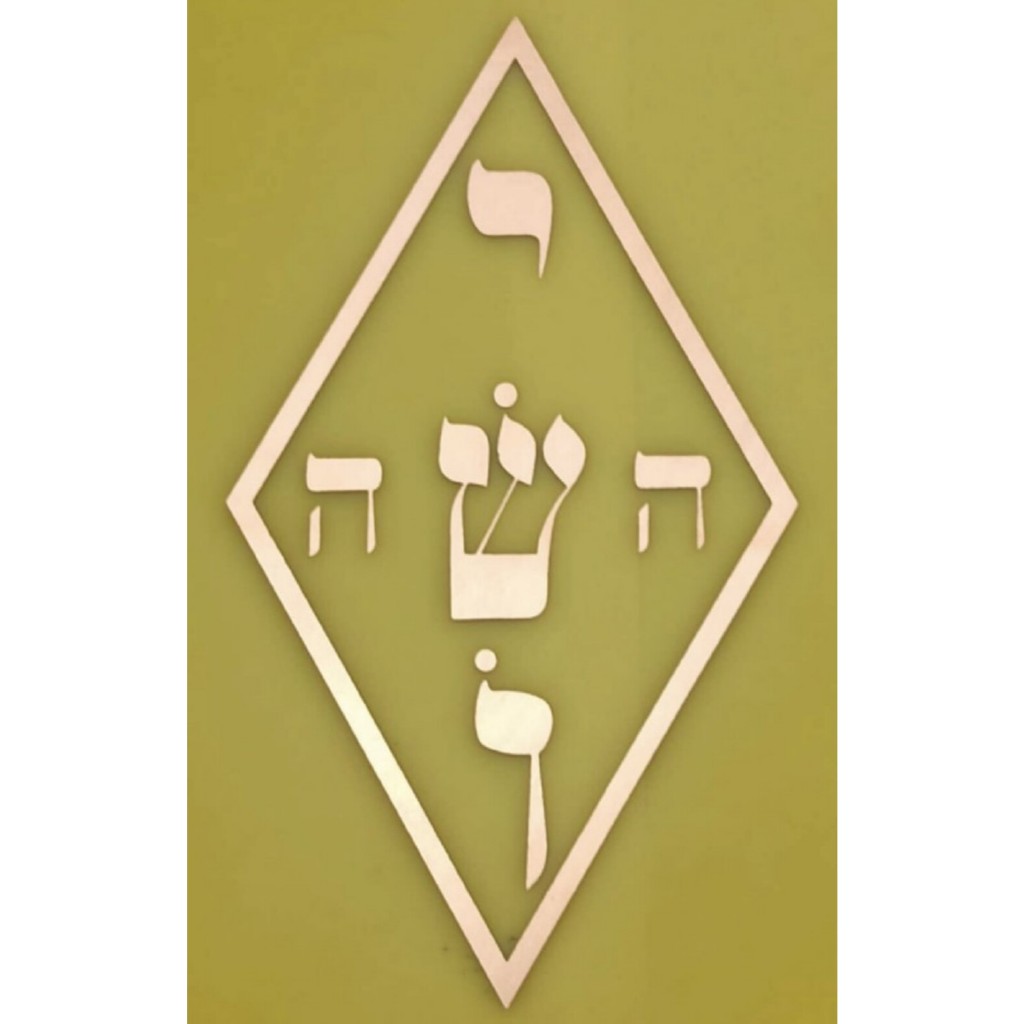 Yoshua, Yavith, Cubo de Metatron sólidos de platão - gráfico em fibra ...