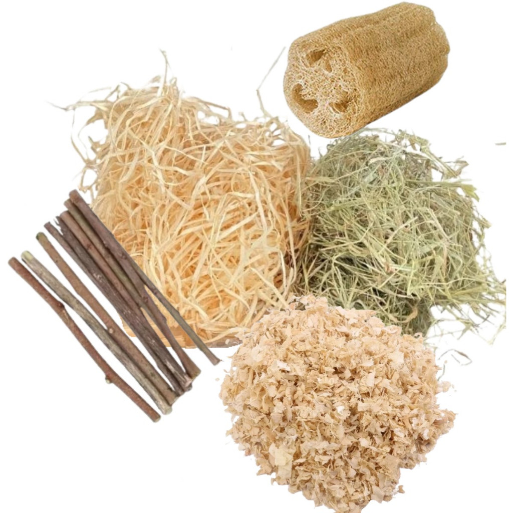 Kit de forrageamento, Enriquecimento ambiental Porquinho da india ...