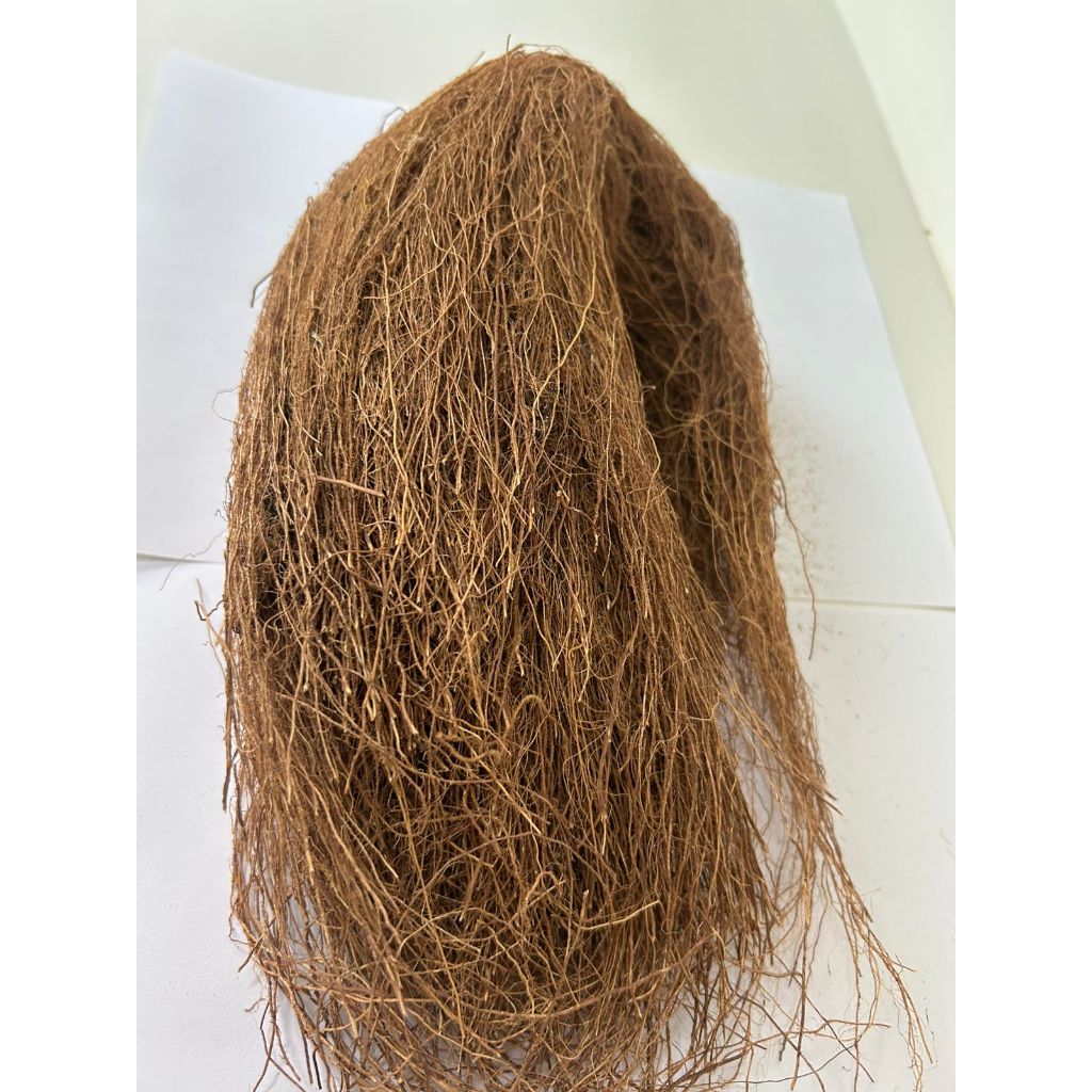 RAIZ CAPIM MARGOSO COM APROXIMADAMENTE 100GR | Shopee Brasil