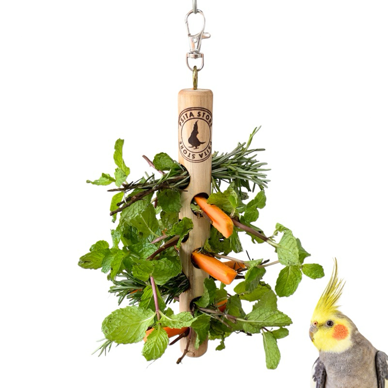 Pendura Rango para calopsitas, RingNeck e Agapornis, Comedouro Psita ...