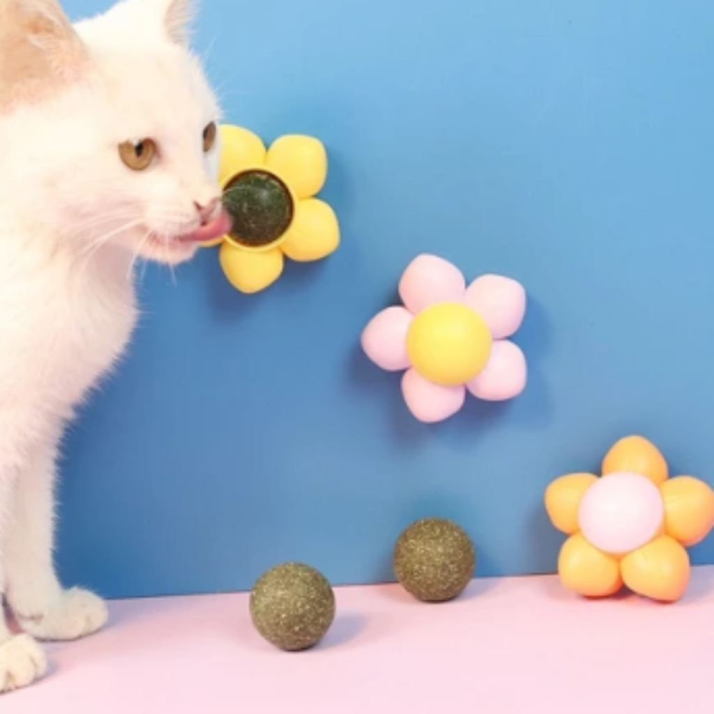 Bolinha Catnip Para Gatos Roxo Com Amarelo | Shopee Brasil