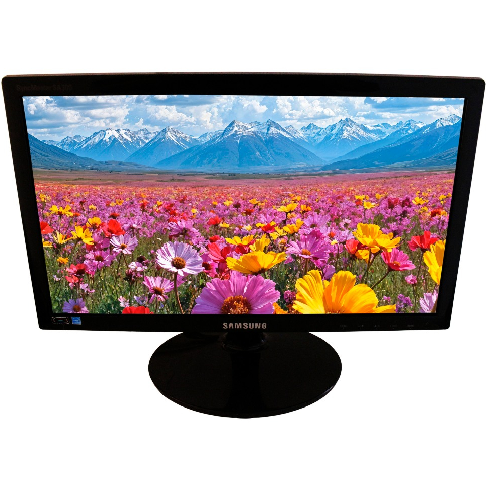 Monitor Samsung Led Syncmaster SA300 Vga Dvi 19 polegadas | Shopee Brasil
