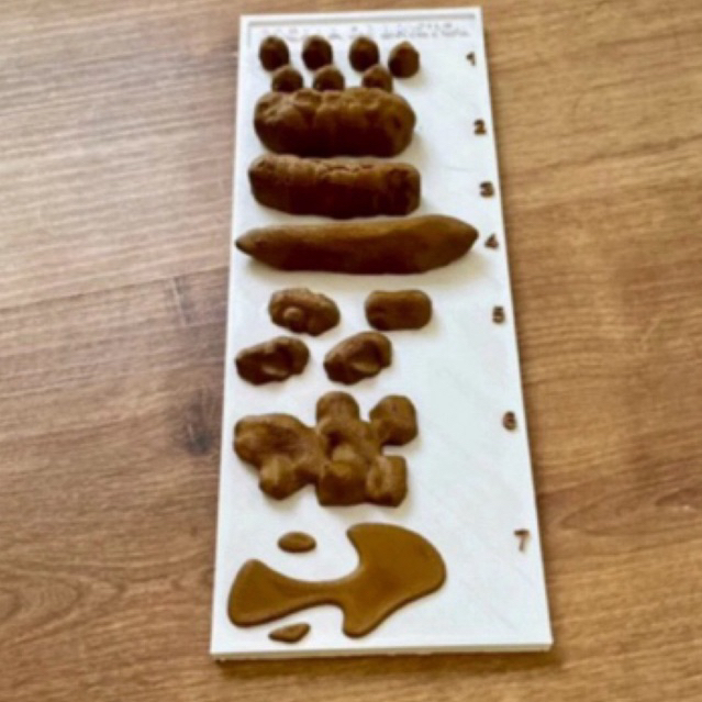 Escala de Bristol com Suporte de Mesa | Shopee Brasil