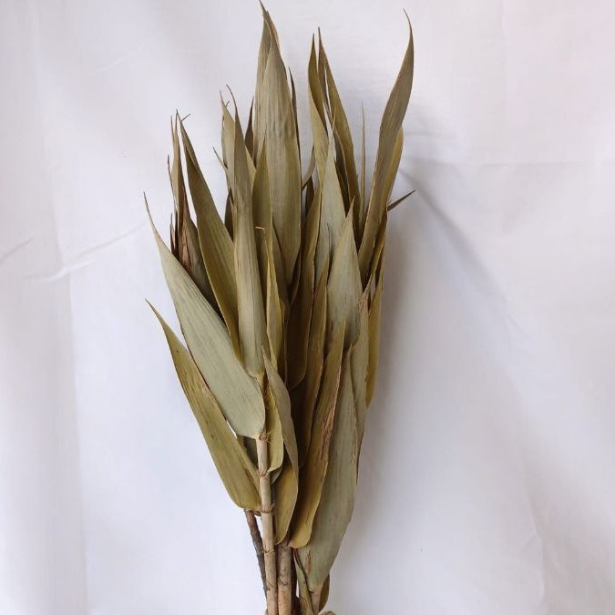 Capim Navalha, Folha André Quice Natural, Flores Secas | Shopee Brasil