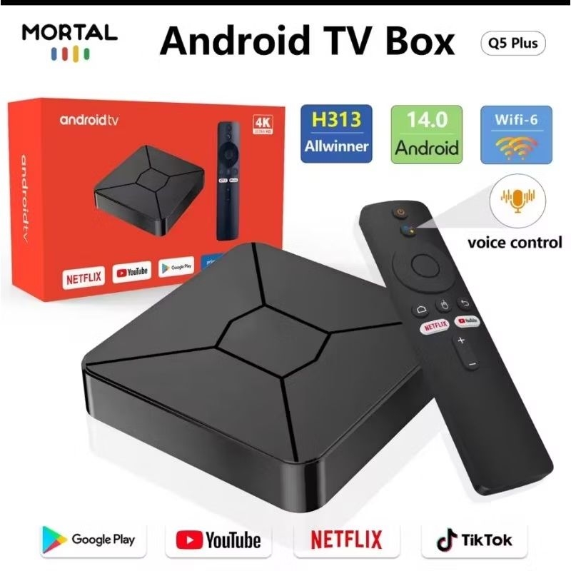 iATV Q5 Android Box Allwinner H313 2.4/5G WiFi BT Controle Remoto De ...