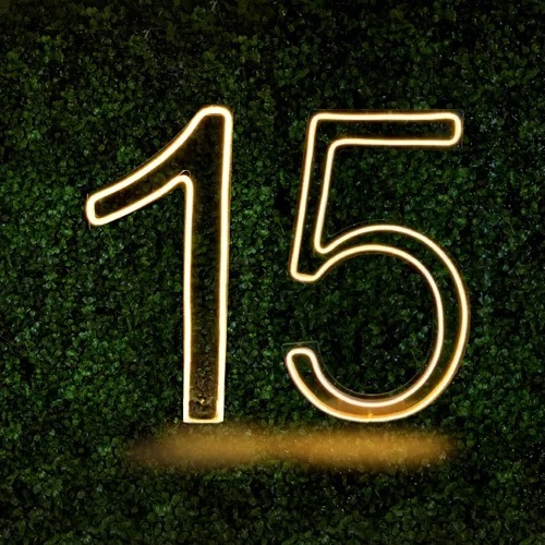 Painel Neon Led Luminoso Número 15 Quinze 50cm Acrílico | Shopee Brasil