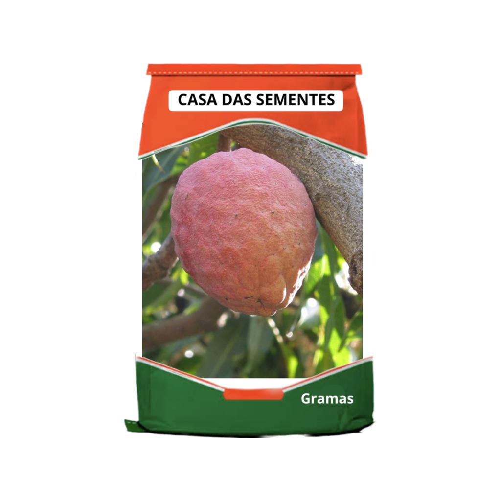 Fruta Condessa Legitima 20 Sementes | Shopee Brasil