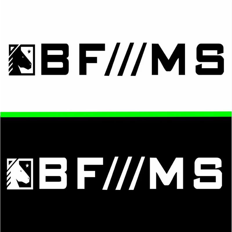 Adesivo BF /// MS 30cm - Adesivos Agro Camionetes 4x4 Bfms Pecuária ...