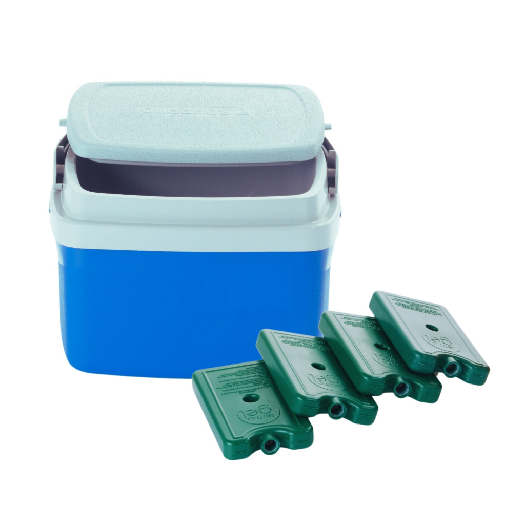 Caixa Térmica 5 Litros Cooler Com 4 Placas De Gelo Reutilizável 200 ml Ideal Para Transporte ...