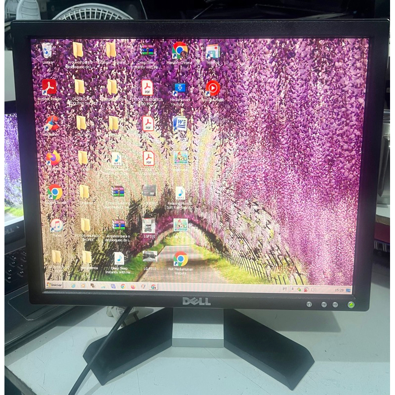 MONITOR DELL E178FPC LCD 17 POLEGADAS com cabos "BOTÃO POWER NÃO ...