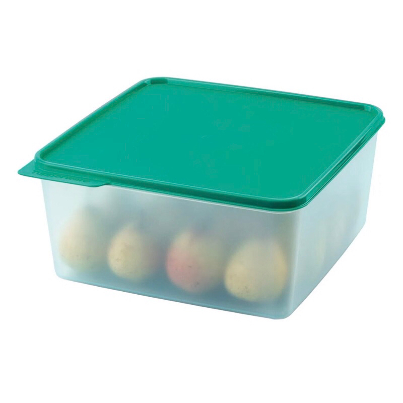 Basic Line 5 lts Tupperware | Shopee Brasil