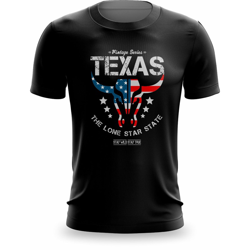 Camiseta Basica The Lone Star State Texas Moda Country Boiadeiro ...