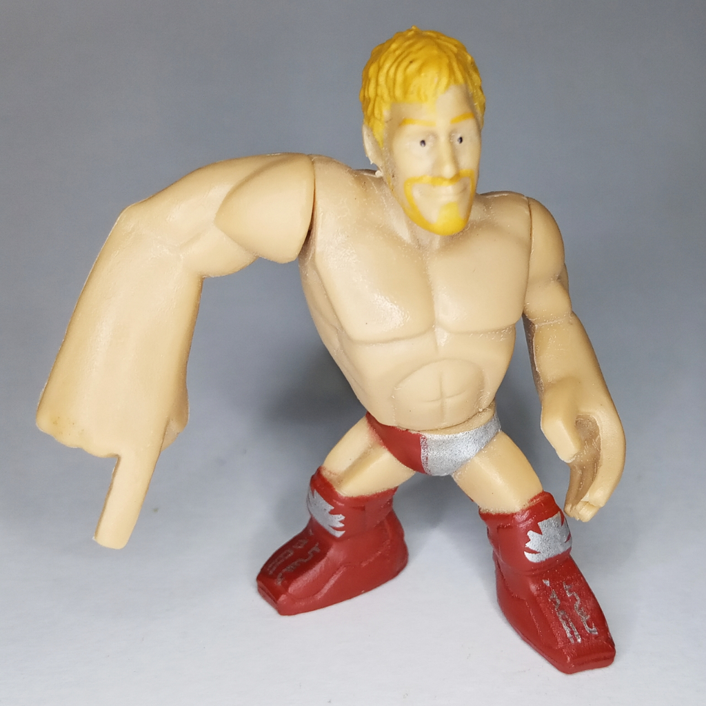 Boneco Wwe Daniel Bryan Rumblers 5 Cm | Shopee Brasil