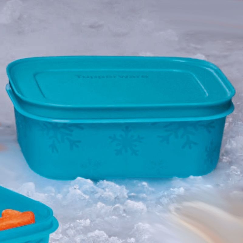 Tupperware Freezer Line 450ml Azul | Shopee Brasil