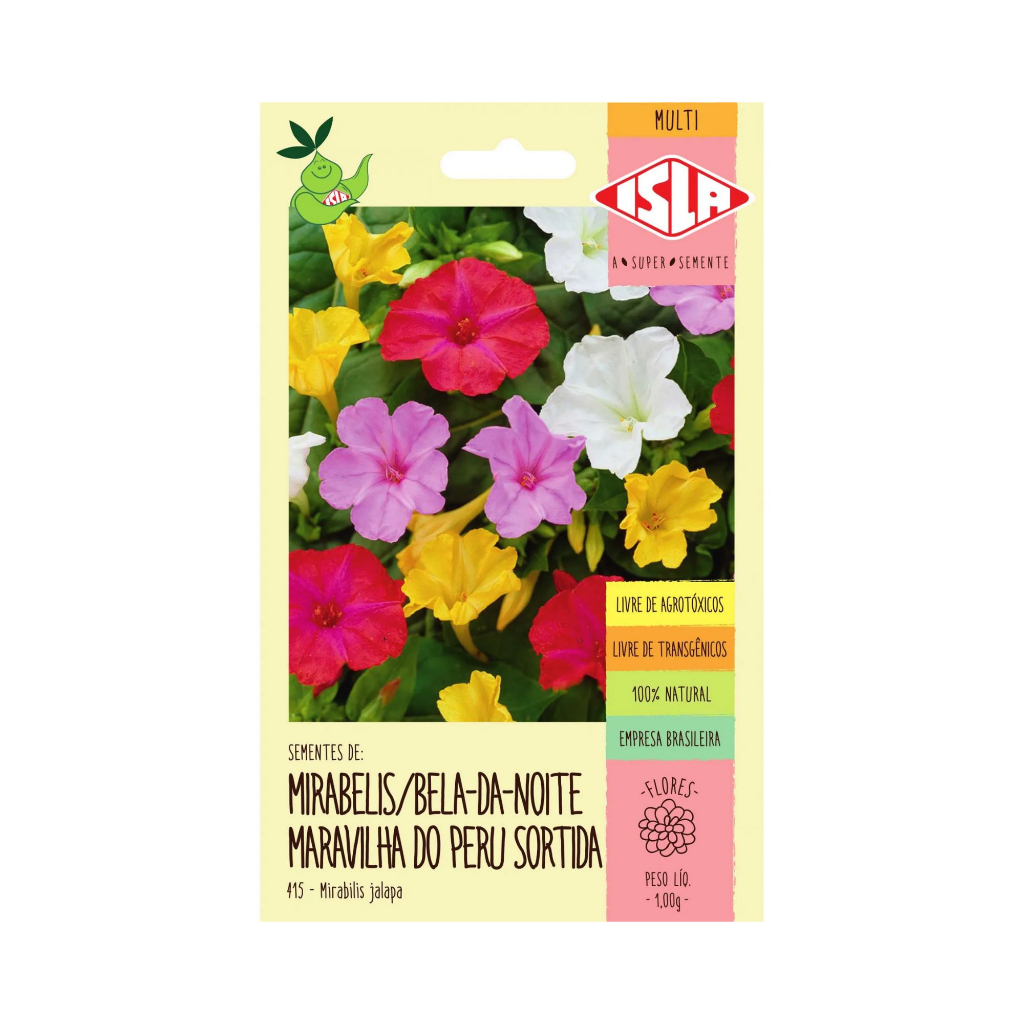 12 sementes de Flor BELA da Noite - Flor Maravilha do Peru Sortida ...