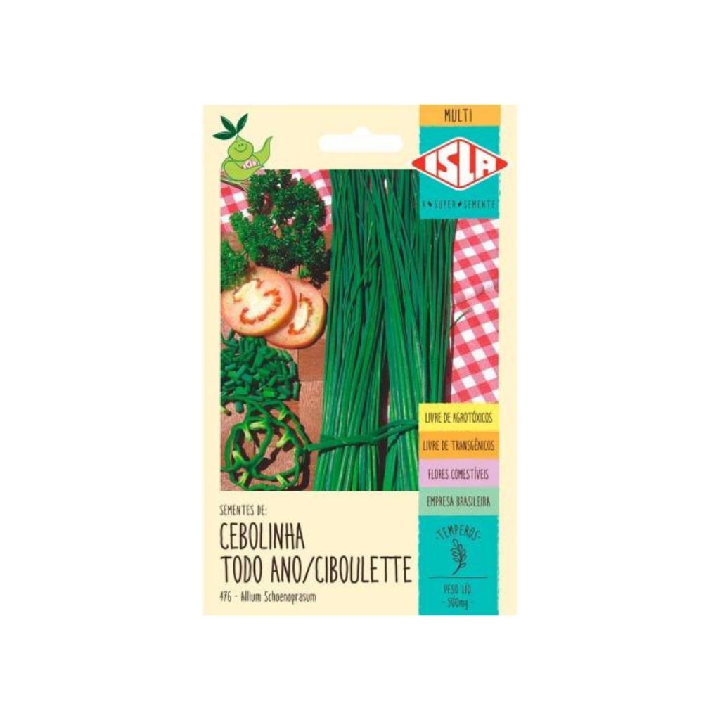 Cebolinha de Tempero Todo Ano Ciboulette - 500mg de Sementes | Shopee ...
