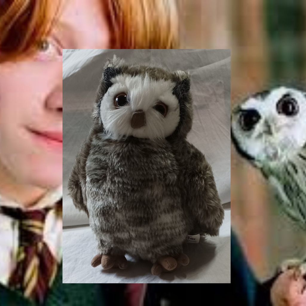 Pelucia Pigwidgeon A Coruja Pig De Rony Weasley - Harry Potter | Shopee ...