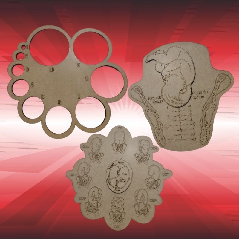 Réguas didáticas para educação perinatal, Plano de Lee, Posições do ...