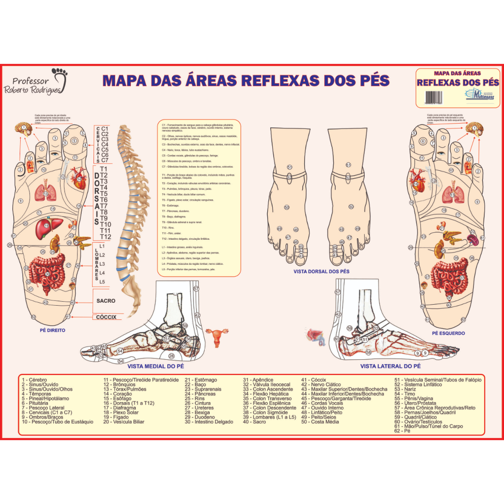 Mapa das Áreas Reflexas dos Pés - Reflexologia - Largura 117 cm x ...
