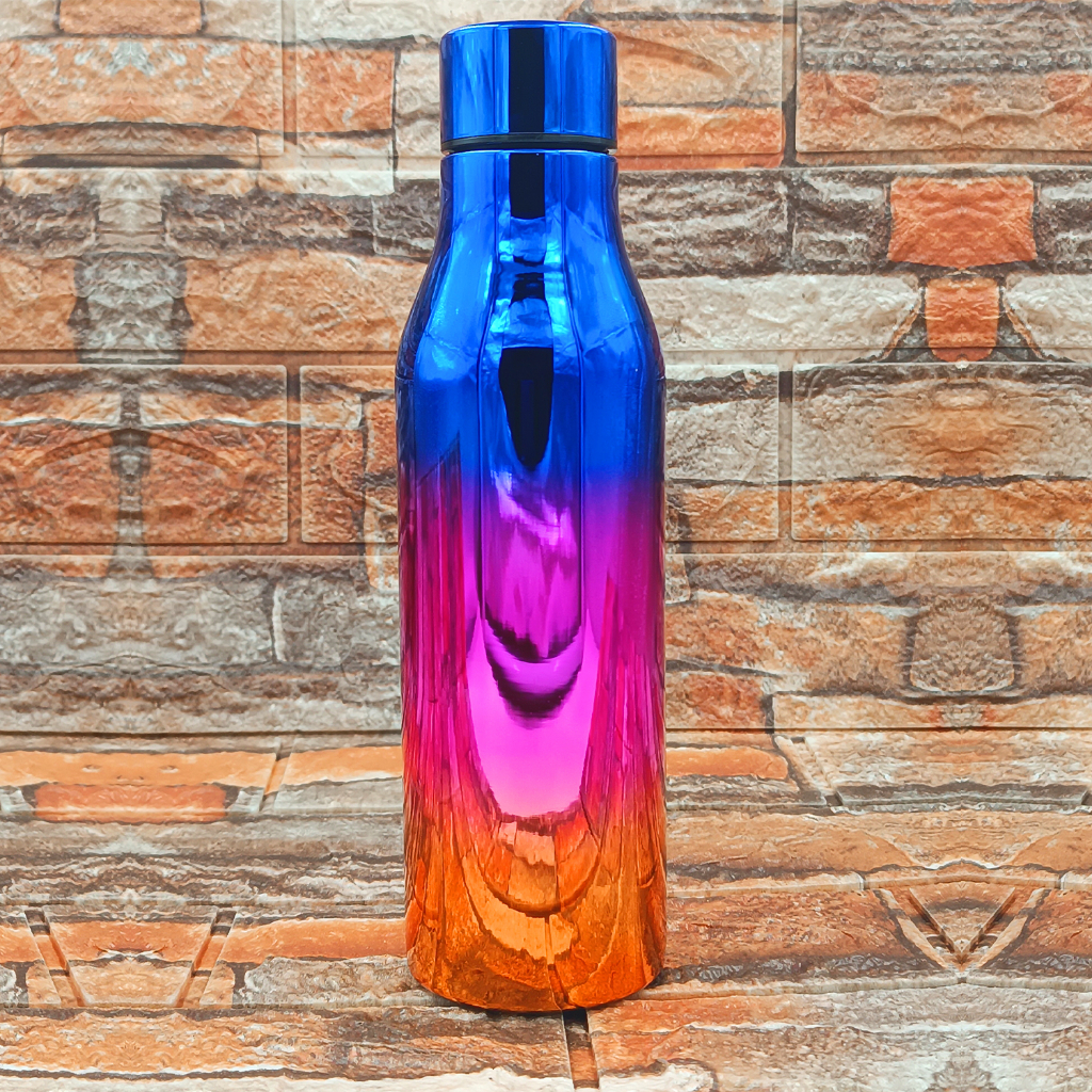 Garrafa Térmica Inox Colorida Com Camada Dupla | Shopee Brasil