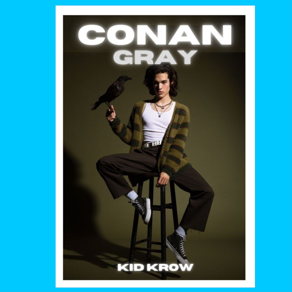 Poster conan gray 42x30cm Tamanho Grande Capa de Álbum kid krow Cantor ...