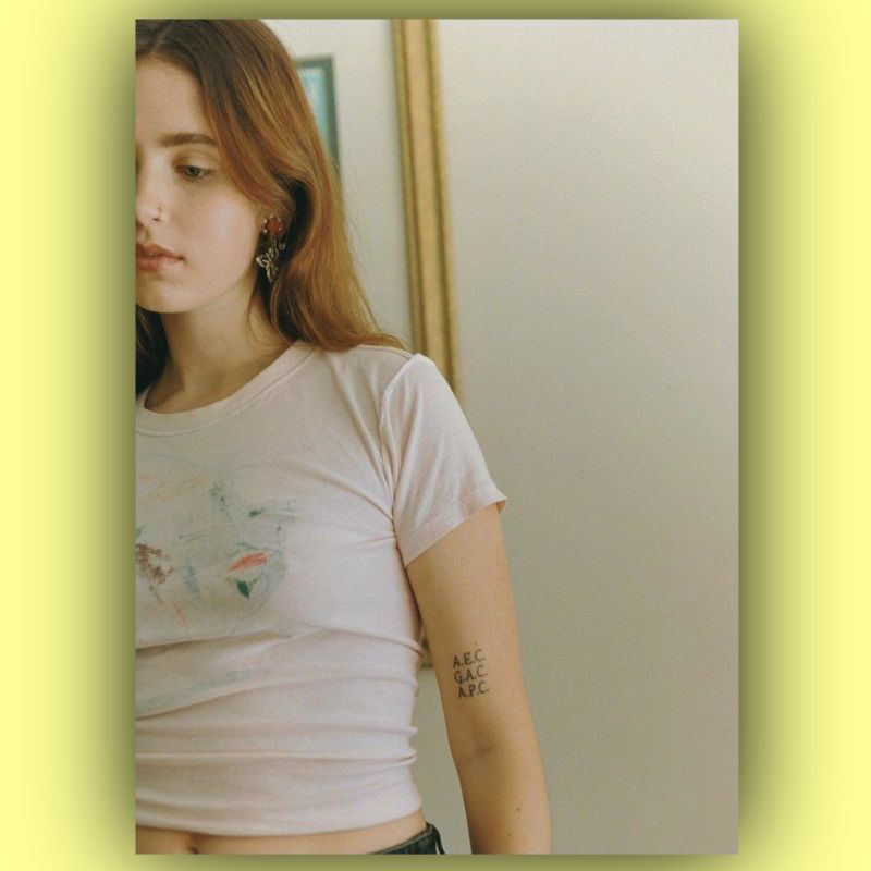 Poster Clairo 42x30cm Tamanho Grande Capa de Álbum immunity sofia Cantora Indie pop Cartaz ...