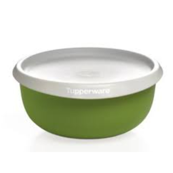 Pote Tupperware Redondo Verde 550 ML | Shopee Brasil