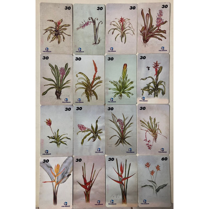 Série completa cartões telefônicos Telemar. Serie Ilustrações Botânicas ...