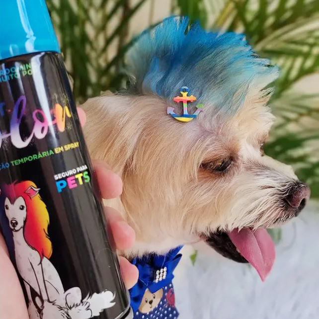 Spray para Colorir Cachorro / pet- Unidade- Grooming Muito Pop | Shopee ...