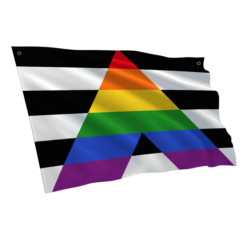 Bandeira Lgbt Straight Ally Lgbtq Respeito 100x70cm Proud | Shopee Brasil