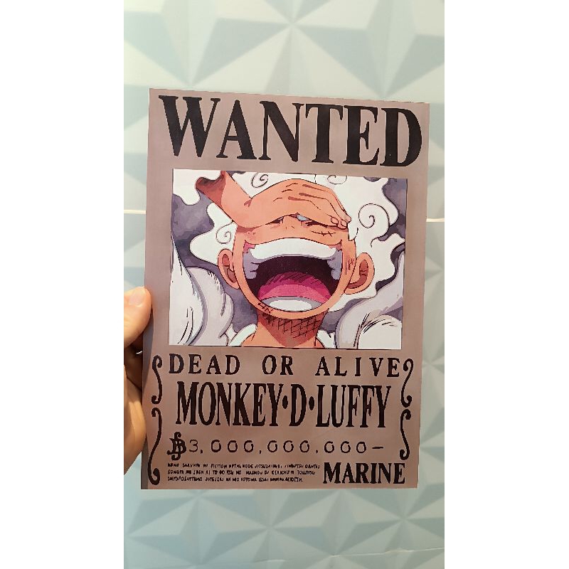 One Piece placas decorativas artesanais mangá desenho anime | Shopee Brasil