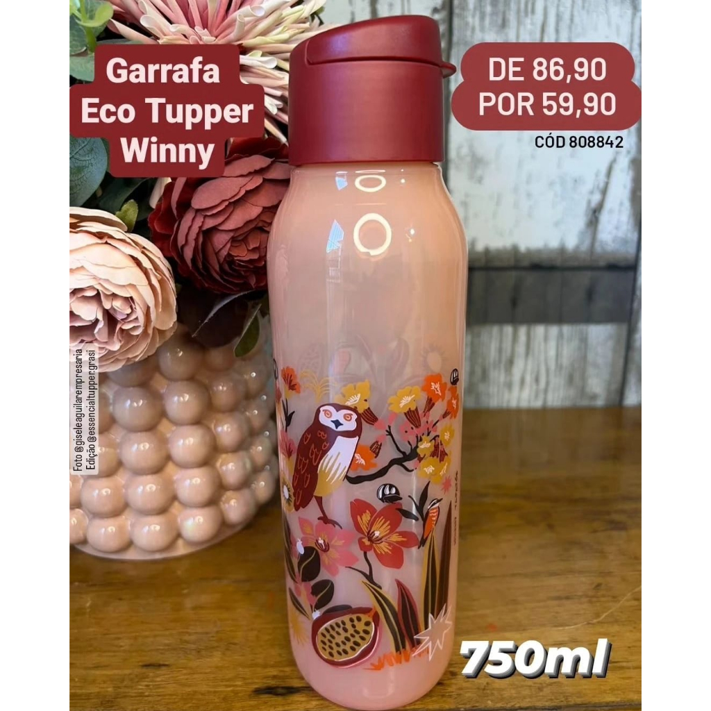 Tupperware Garrafa Eco Tupper Plus Winny 750ml | Shopee Brasil