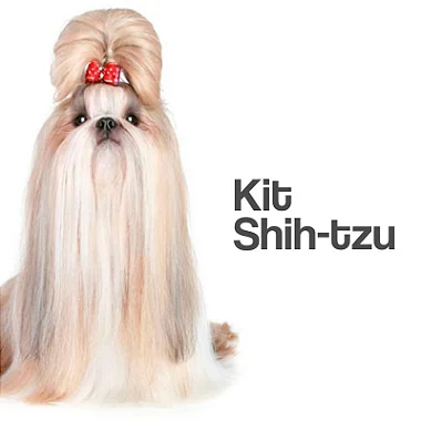 Kit Shih – Tzu | Shopee Brasil