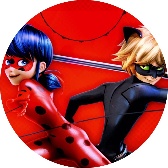 PAINEL SUBLIMADO REDONDO 3D VESTE FACIL LADY BUG 06 COM ELASTICO | Shopee Brasil