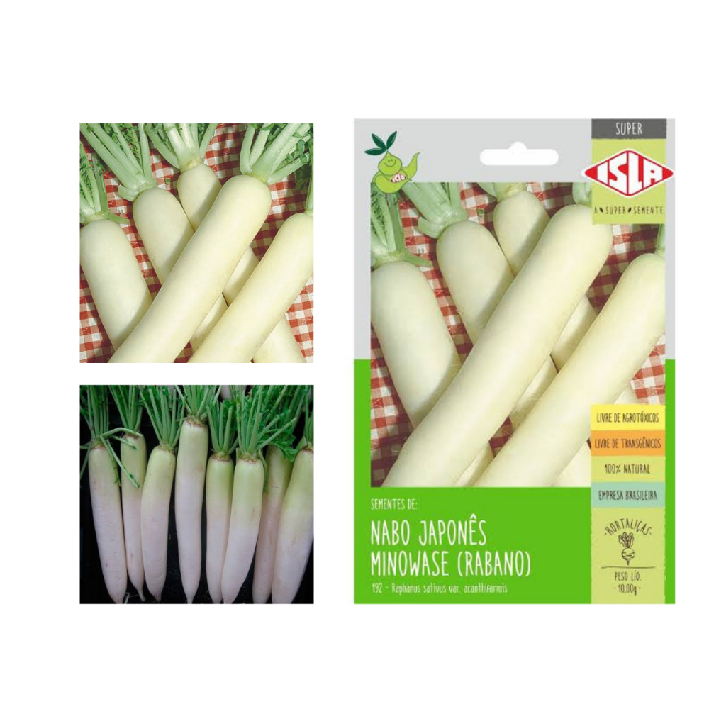 Semente de Nabo Japonês Minowase Rabano - 10gr de Sementes Cultivo ...