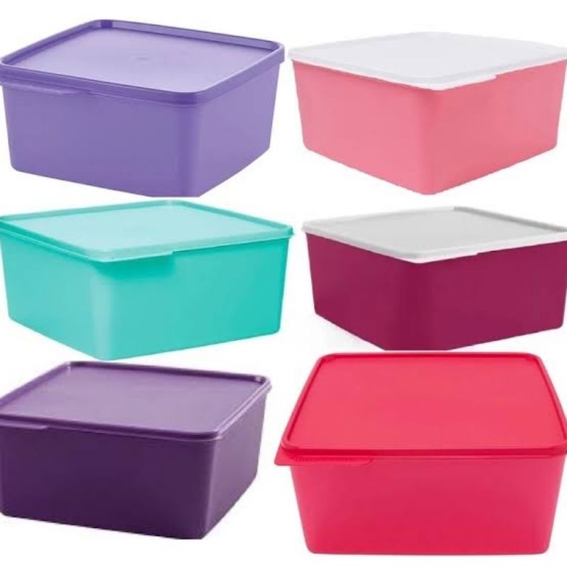 Caixa Basic Line 5 Litros Tupperware | Shopee Brasil