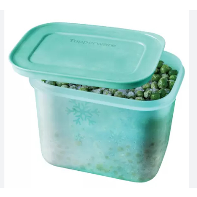 Freezer line 1,1L Tupperware | Shopee Brasil