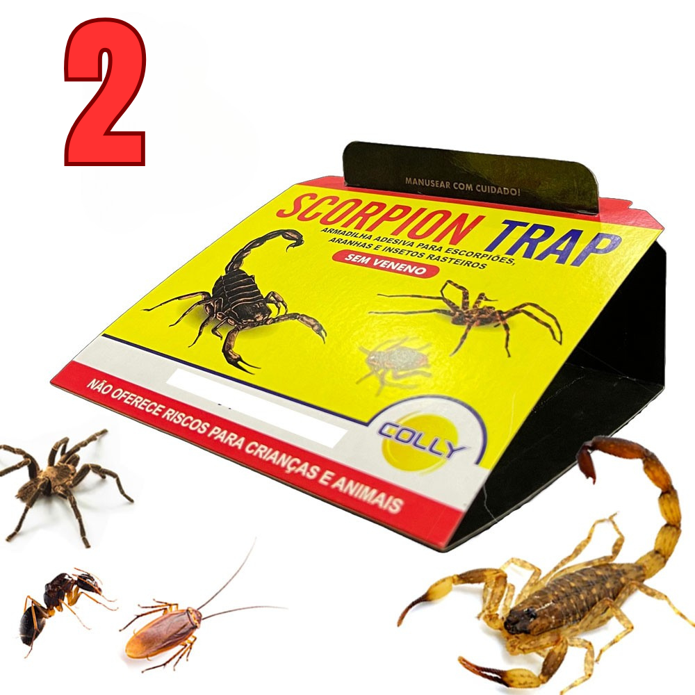 2un de Armadilha Adesiva para Insetos Rasteiros Scorpion Trap como ...