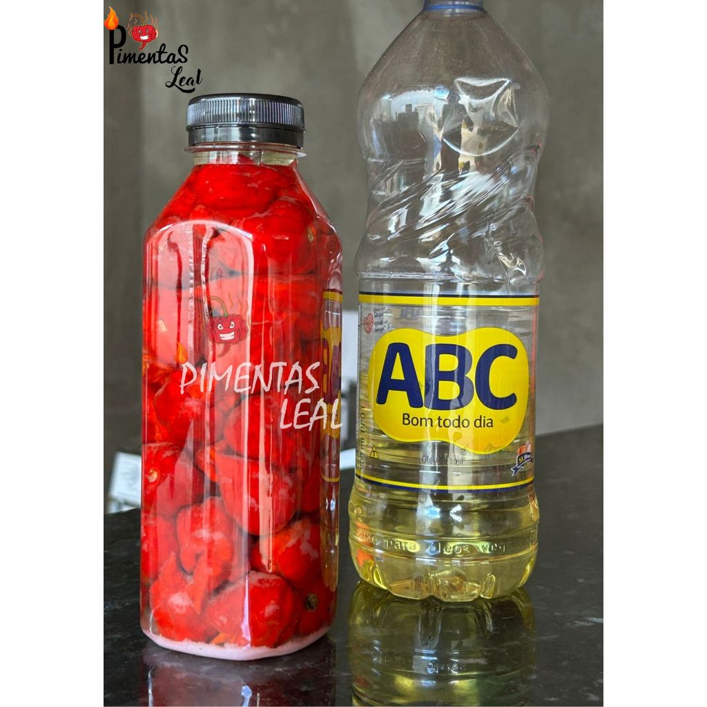 Pimenta Carolina Reaper Conserva ou Mix de pimentas no Óleo 500ml ...