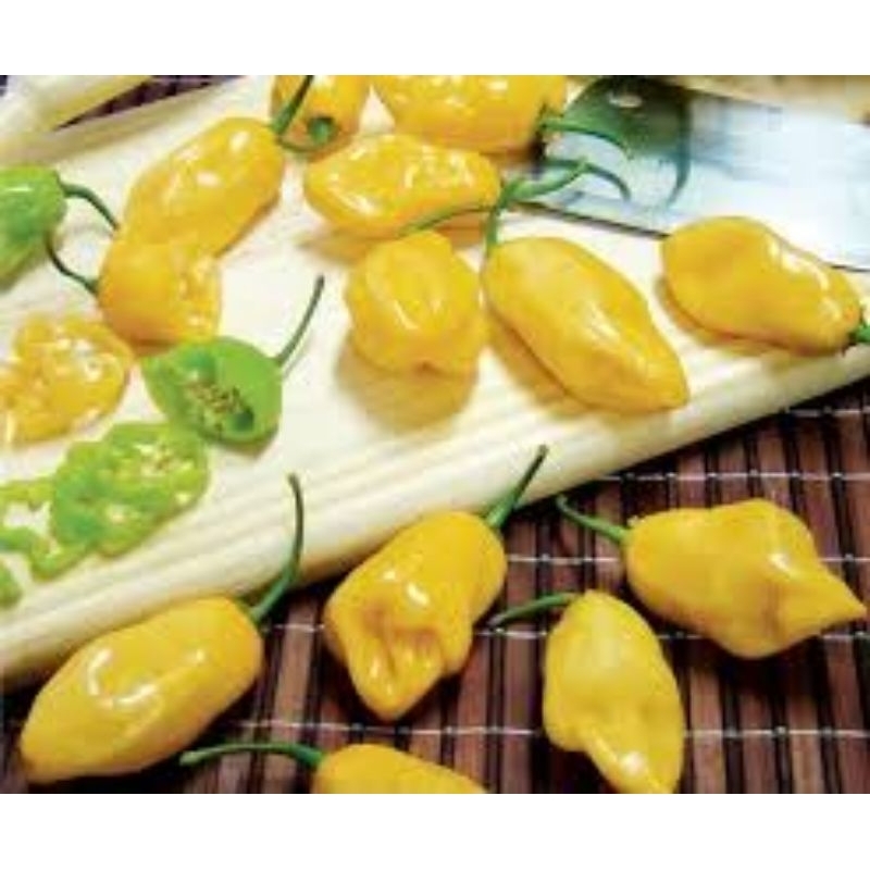 Sementes de Pimenta de cheiro do norte 50 unidades | Shopee Brasil