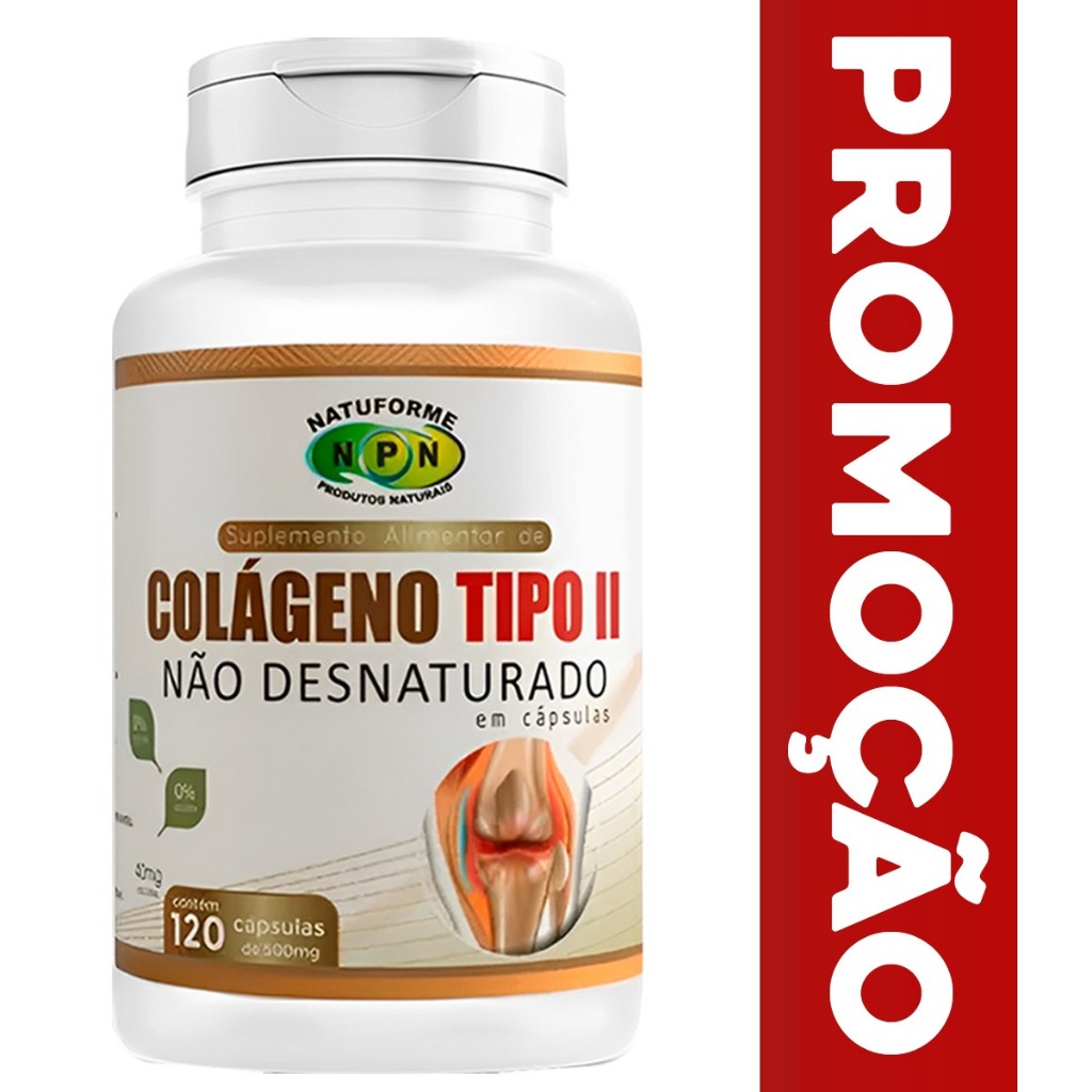 COLAGENO TIPO 2 NÃO DESNATURADO NÃO HIDROLISADO 40mg 120 CÁPSULAS - ENVIO RÁPIDO | Shopee Brasil