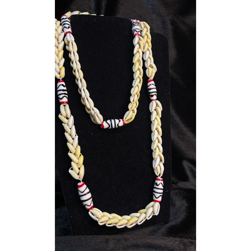BRAJÁ DE BUZIOS DE OMOLU ( BUZIO GEMA) | Shopee Brasil