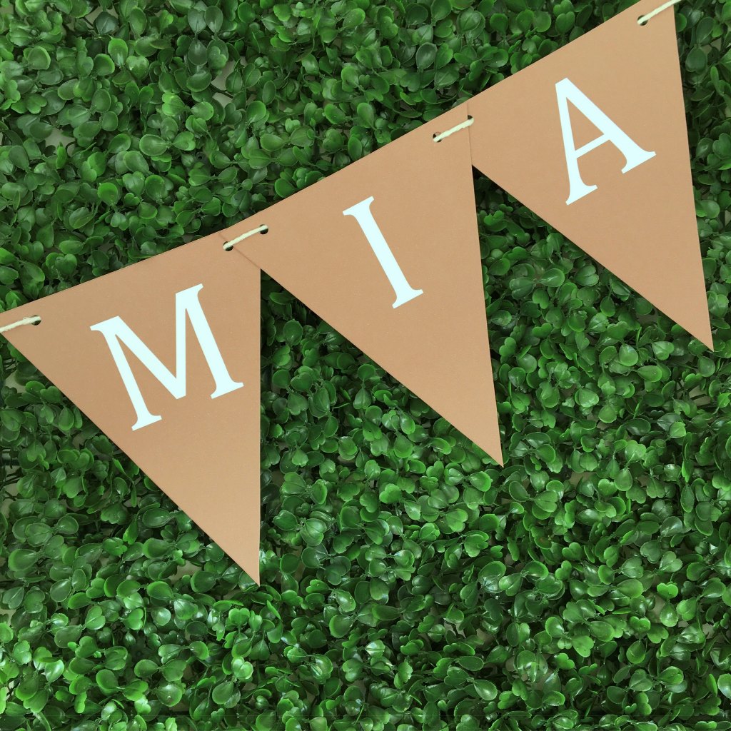 Bandeirola Personalizada com Nome Lisa Cor Neutra | Shopee Brasil