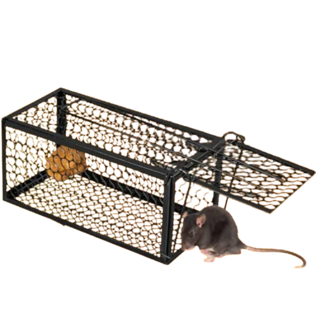 Ratoeira Rato Gaiola Grande - Segura e Reutilizável c/ Mola Rápida ...