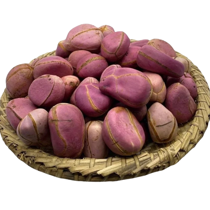 KIT Obi Africano Quatro Gomos Umbanda Candomble | Shopee Brasil