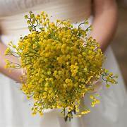 Florzinha Mosquitinho Natural Desidratado Decoração Festa Arranjo ...