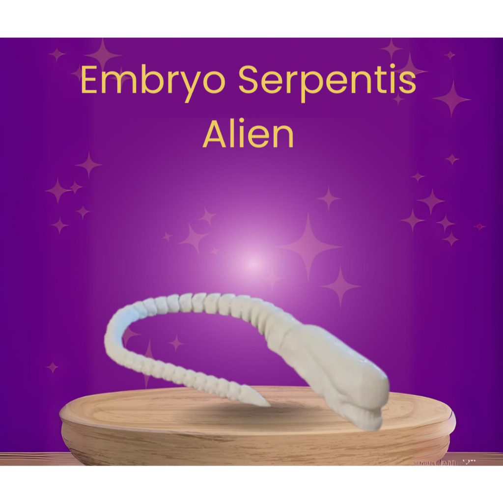 Embryo Serpentis Alien Articulado | 22cm | Design Biomecânico e ...