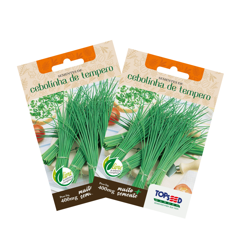 Sementes Cebolinha fina tempero - TopSeed - 2 pct de 400mg | Shopee Brasil