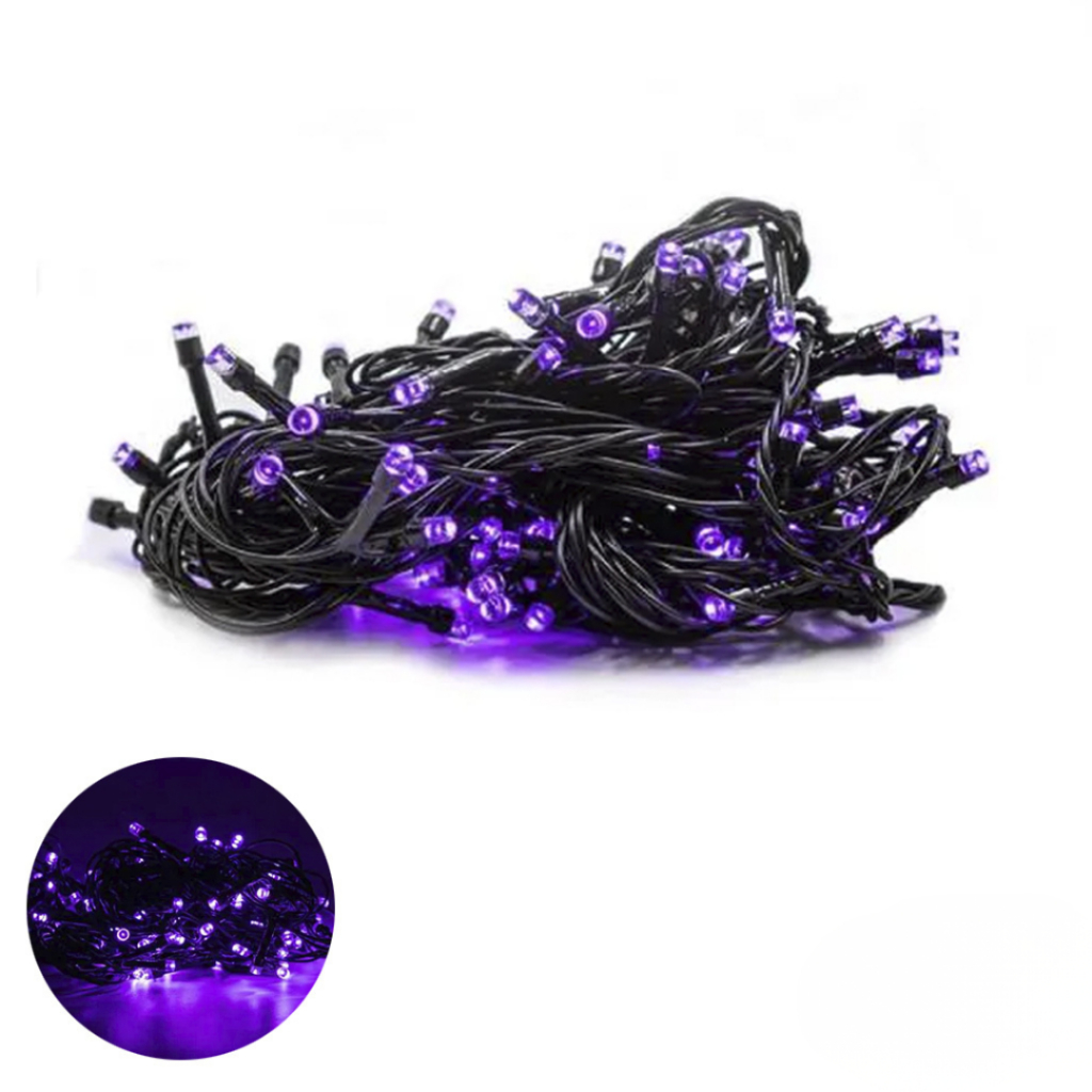 Pisca Pisca 100 LEDs 10M Cor Roxo Fio Verde 8 Funções 127v | Shopee Brasil