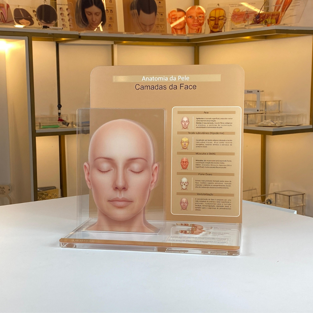 Display Premium Camadas Da Face - Anatomia Da Pele - Hof | Shopee Brasil